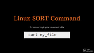 Important Linux Commands | PDF