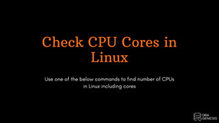 Important Linux Commands | PDF