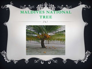 Important maldivian symbols | PPTX