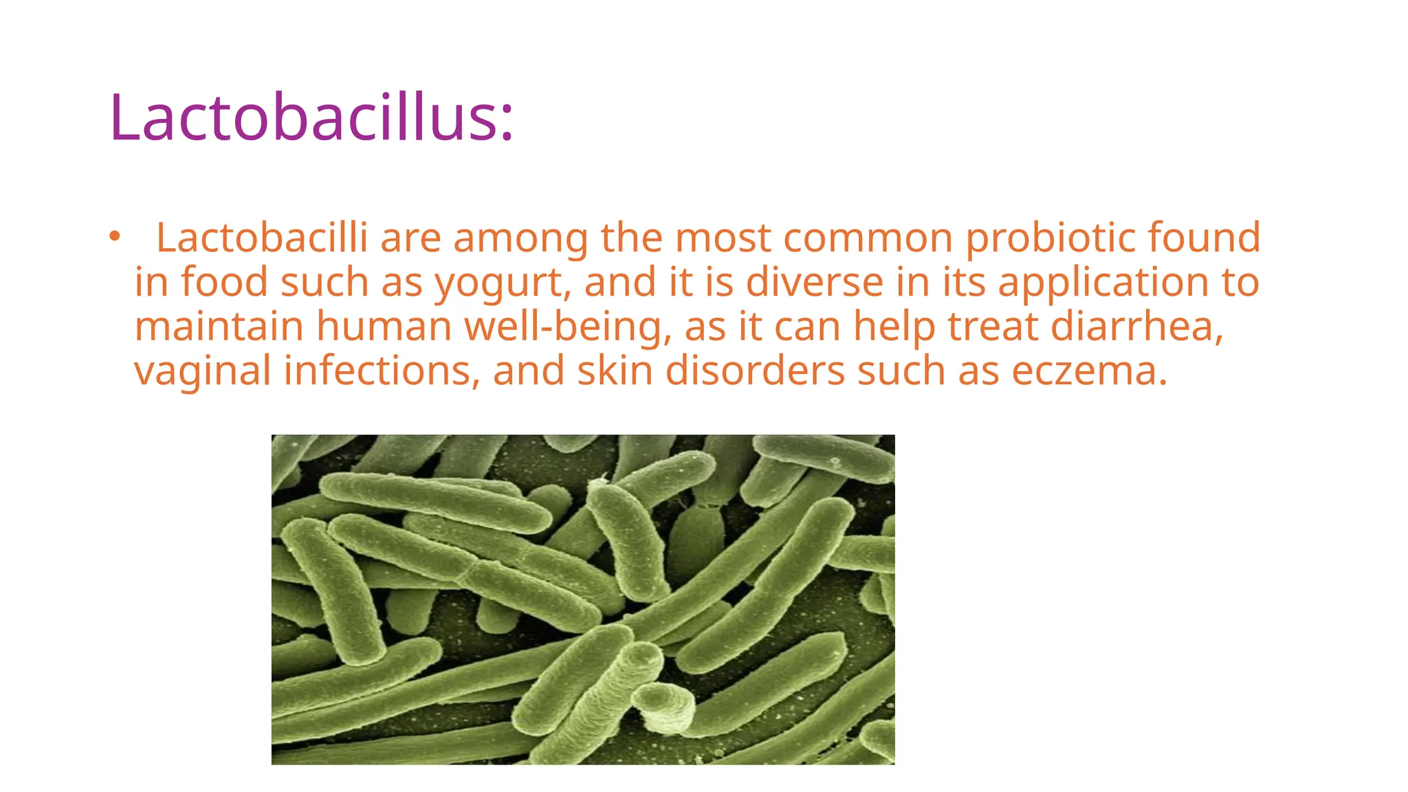 Important microorganisms in food (bacteria).pptx