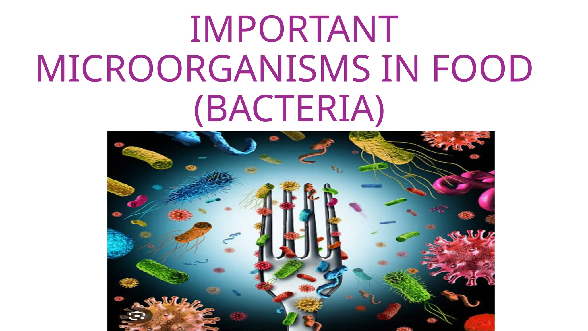 Important microorganisms in food (bacteria).pptx