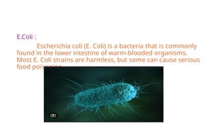 Important microorganisms in food (bacteria).pptx