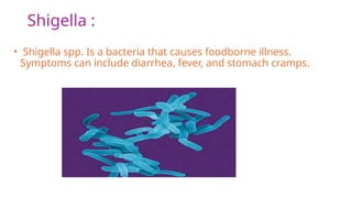 Important microorganisms in food (bacteria).pptx