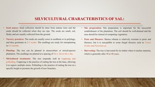Important of Silvics of SAL, ARJUNA, SAIN, PAORA.pptx