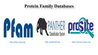 Important protein databases and proteomics softwares | PPTX
