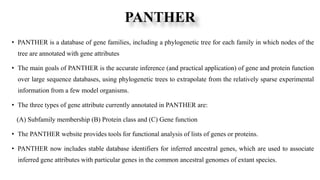Important protein databases and proteomics softwares | PPTX