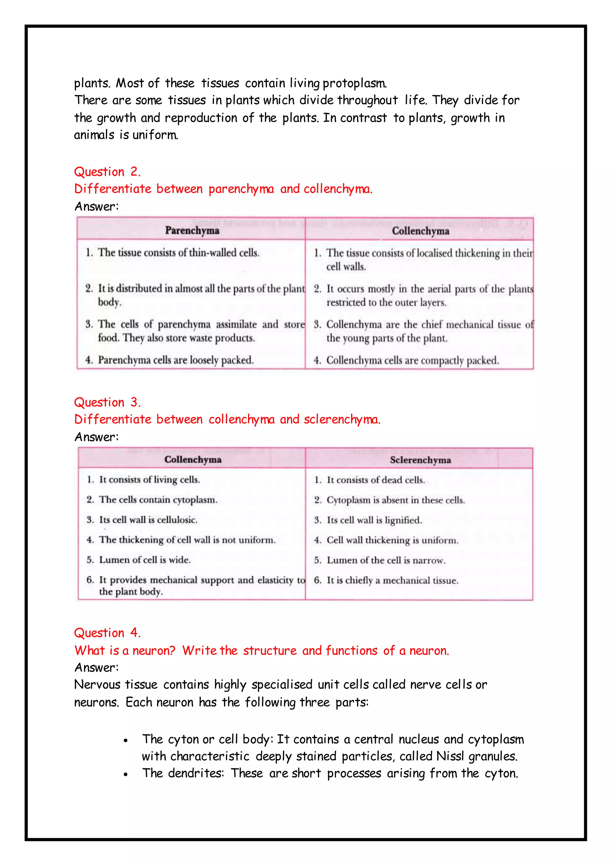 Important Question with Answer of Tissues class 9 | DOCX