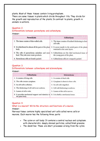Important Question with Answer of Tissues class 9 | DOCX