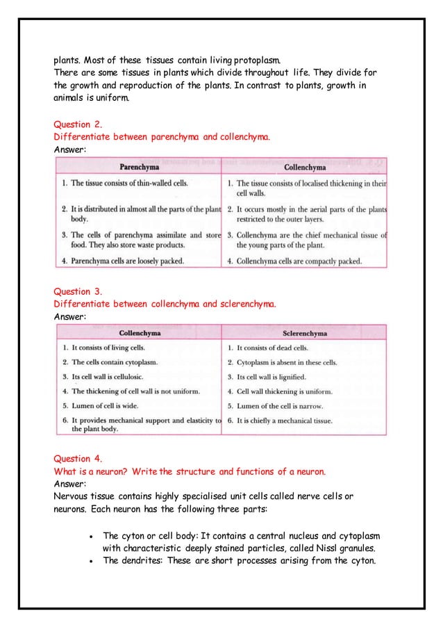 Important Question with Answer of Tissues class 9 | DOCX | Gardening ...