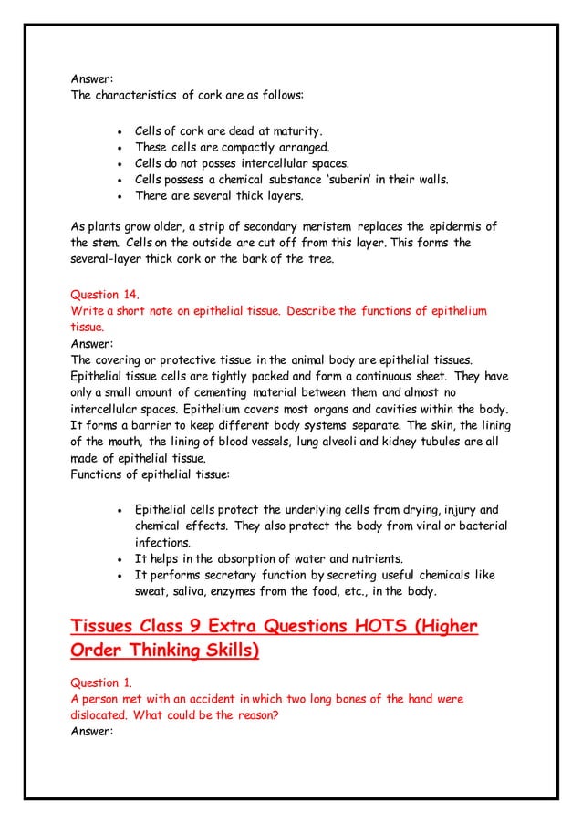 Important Question with Answer of Tissues class 9 | DOCX | Gardening ...