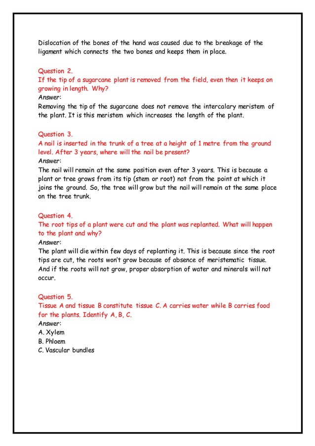 Important Question with Answer of Tissues class 9 | DOCX | Gardening ...