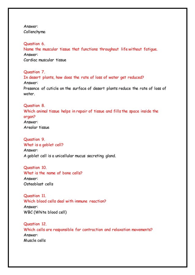 Important Question with Answer of Tissues class 9 | DOCX | Gardening ...