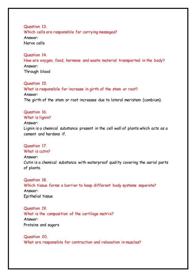 Important Question with Answer of Tissues class 9 | DOCX | Gardening ...