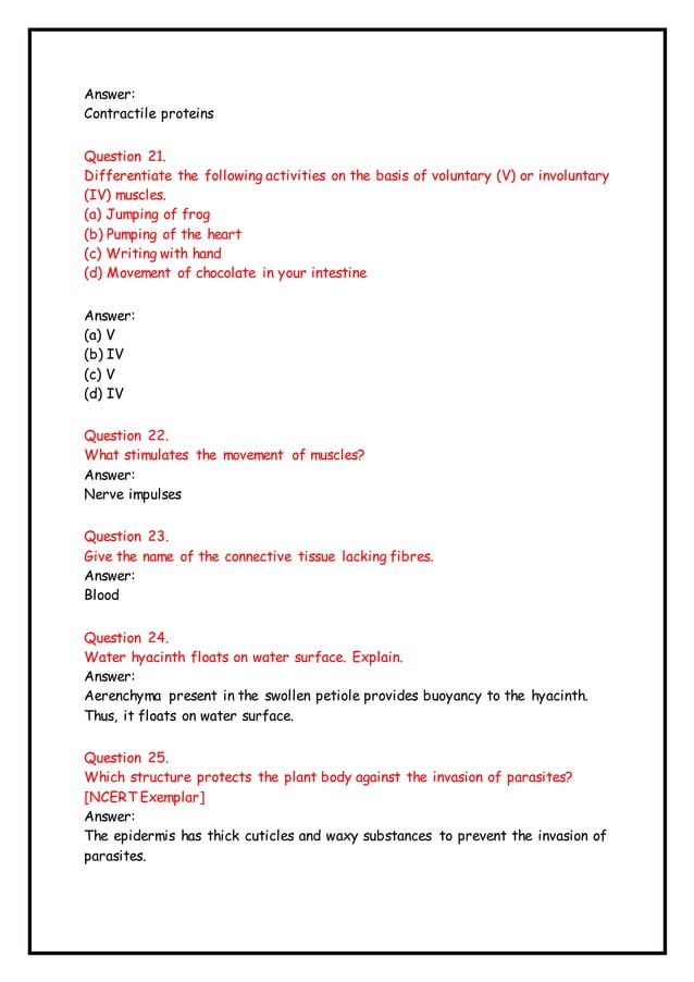 Important Question with Answer of Tissues class 9 | DOCX | Gardening ...