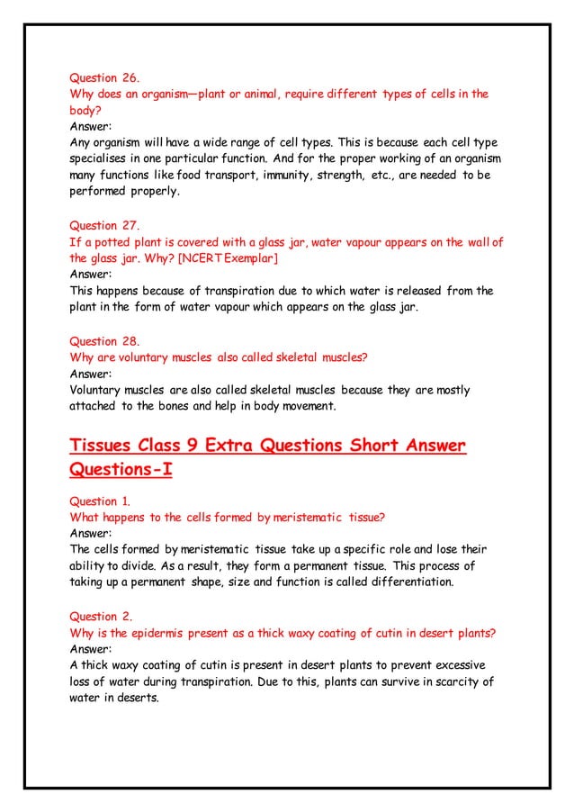 Important Question with Answer of Tissues class 9 | DOCX | Gardening ...
