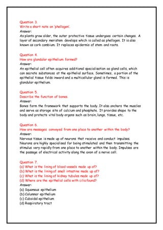 Important Question with Answer of Tissues class 9 | DOCX