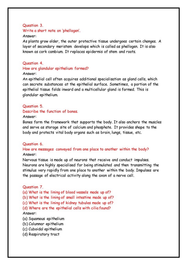 Important Question with Answer of Tissues class 9 | DOCX | Gardening ...