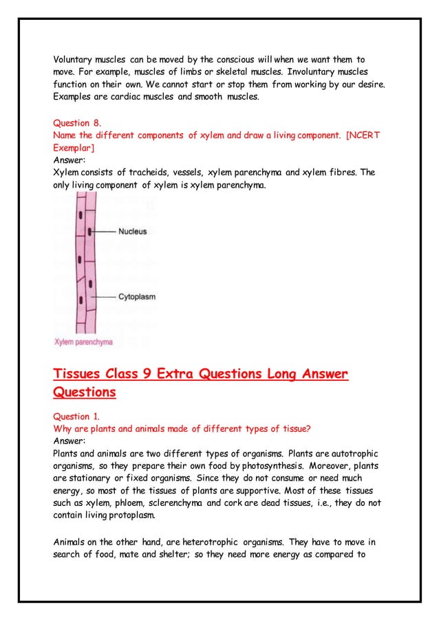Important Question with Answer of Tissues class 9 | DOCX | Gardening ...