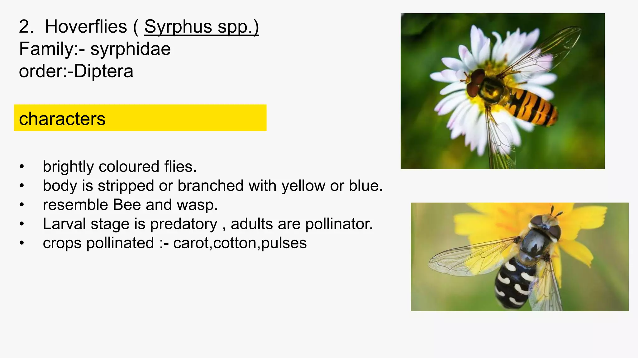 important species of pollinatiors, weed killer and scavengers. ppt.pptx