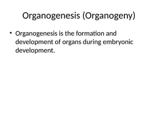 Important_Terms_in_Embryology slides .pptx