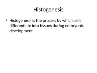 Important_Terms_in_Embryology slides .pptx