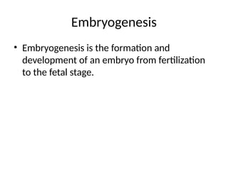 Important_Terms_in_Embryology slides .pptx