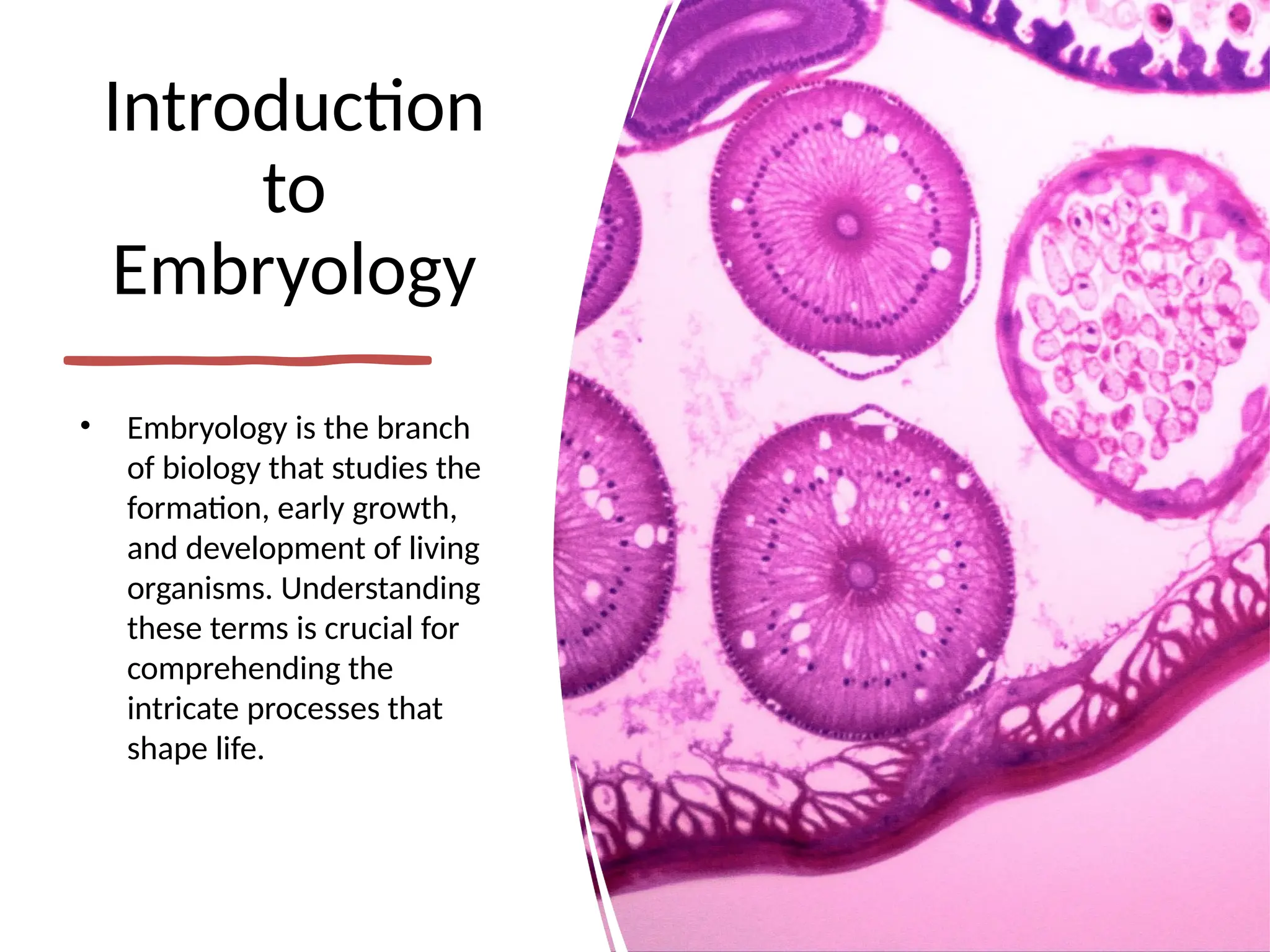 presentation of Important_Terms_in_Embryology[1].pptx