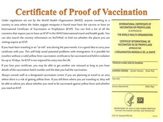 Important Tips of Yellow Fever Vaccination | PPTX
