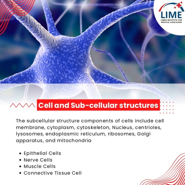 Important Topics For Biochemistry pdf important-topics-for-biochemistry-pdf