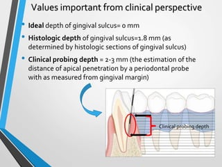 Important values to remember in periodontology.pptx