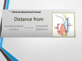 Important values to remember in periodontology.pptx