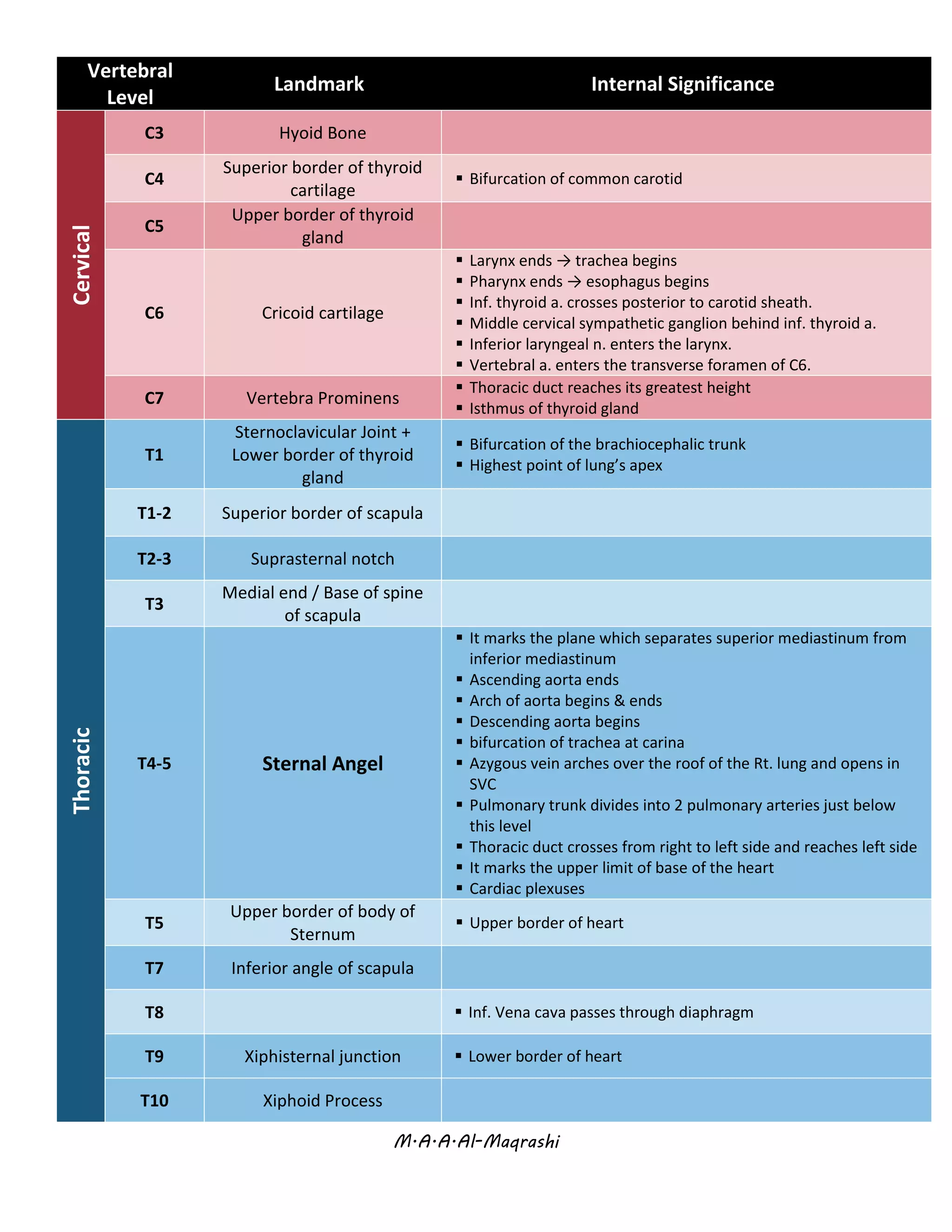 Anatomy-Important vertebral level | PDF