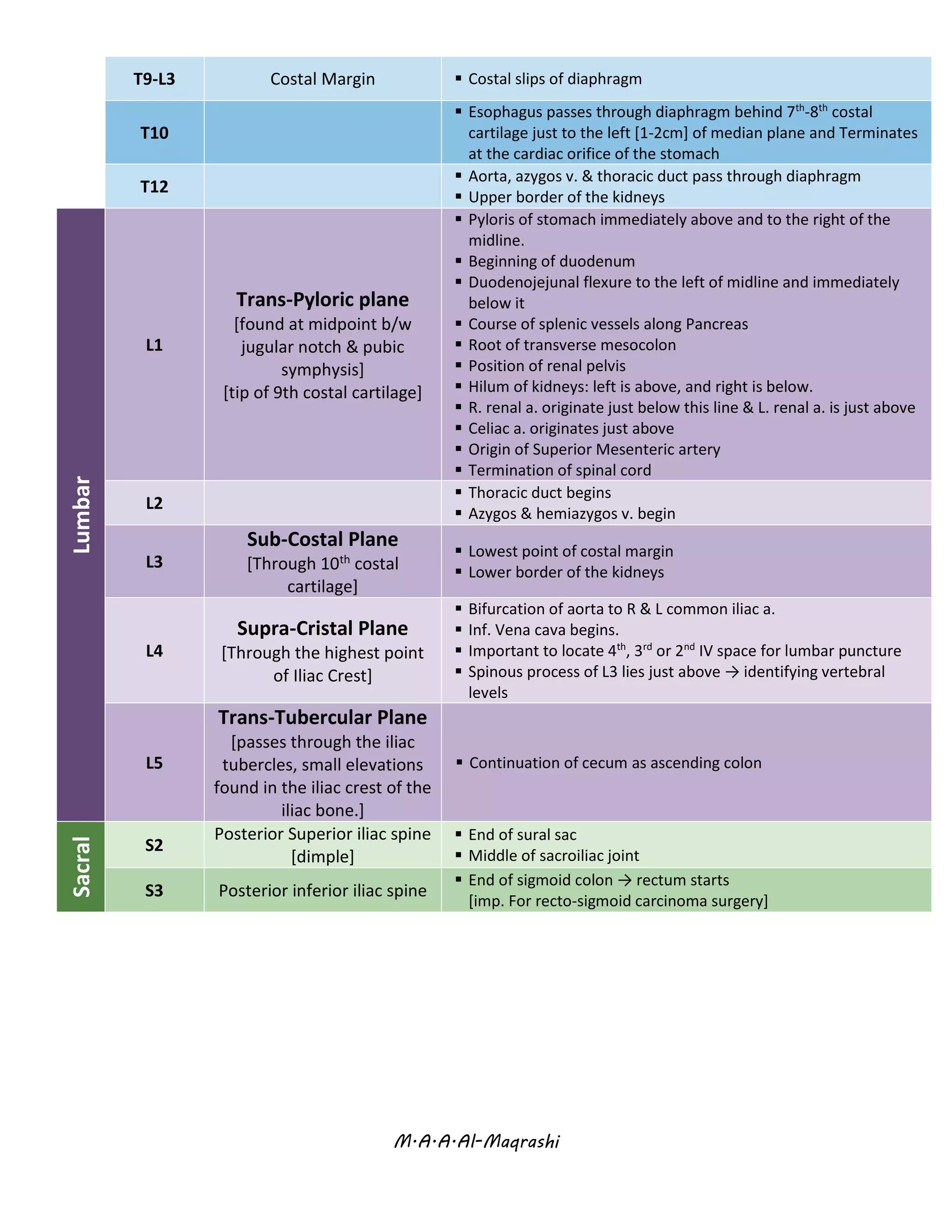 Anatomy-Important vertebral level | PDF