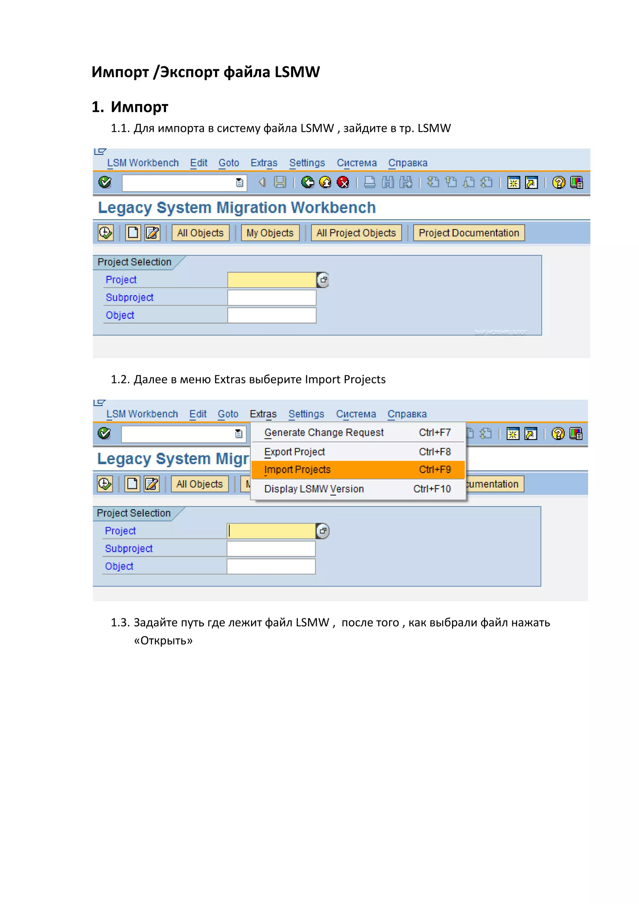 Import export lsmw | PDF