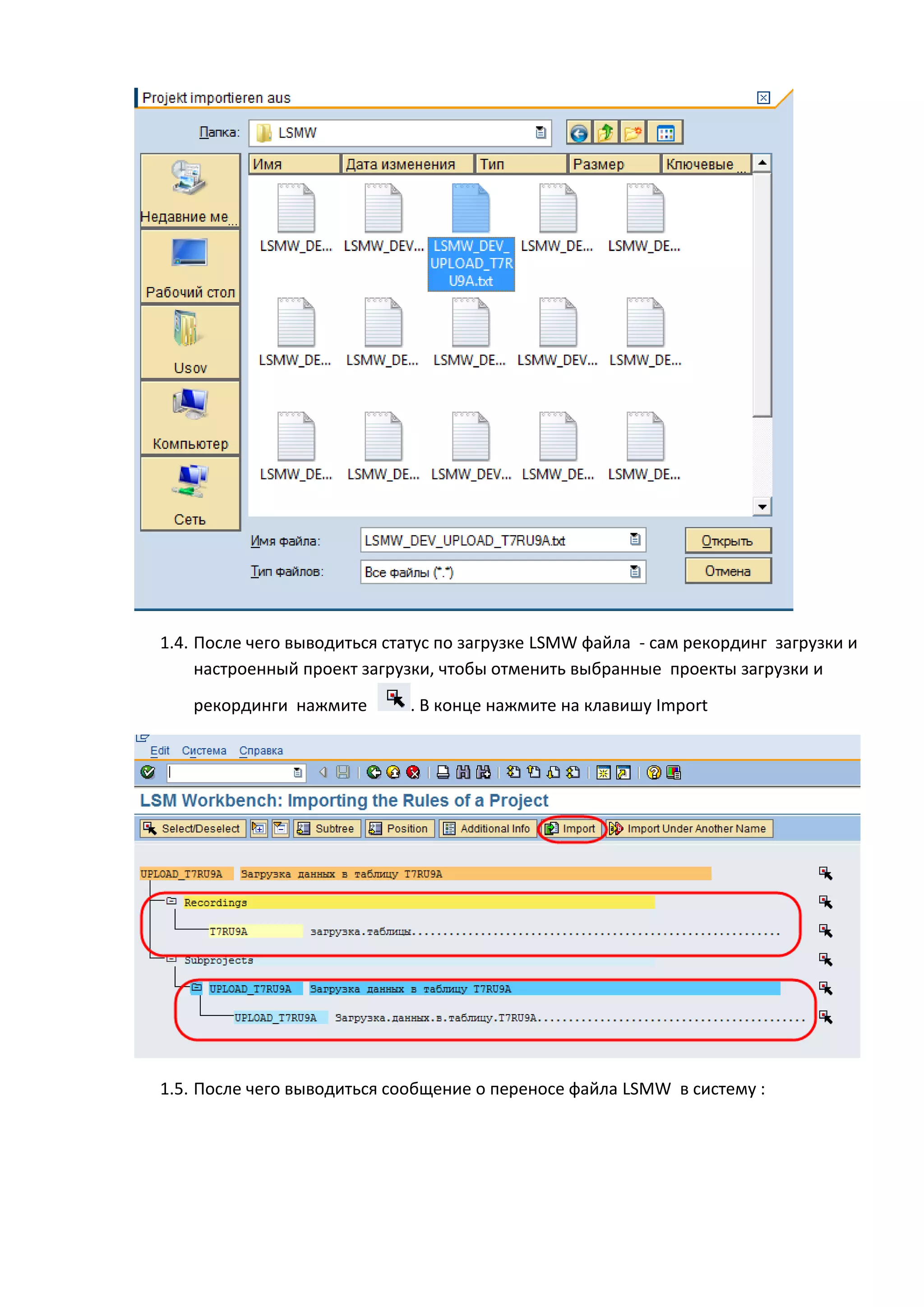 Import export lsmw | PDF