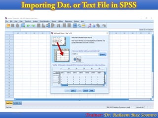 Importing excel (csv and dat) data in spss | PDF