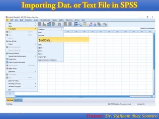Importing excel (csv and dat) data in spss | PDF