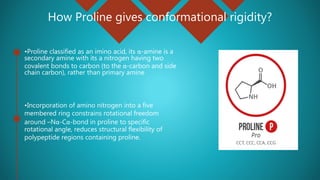 Amino acid by vidan biology | PPTX