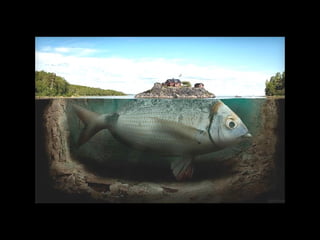 Impossible Pictures | PPS