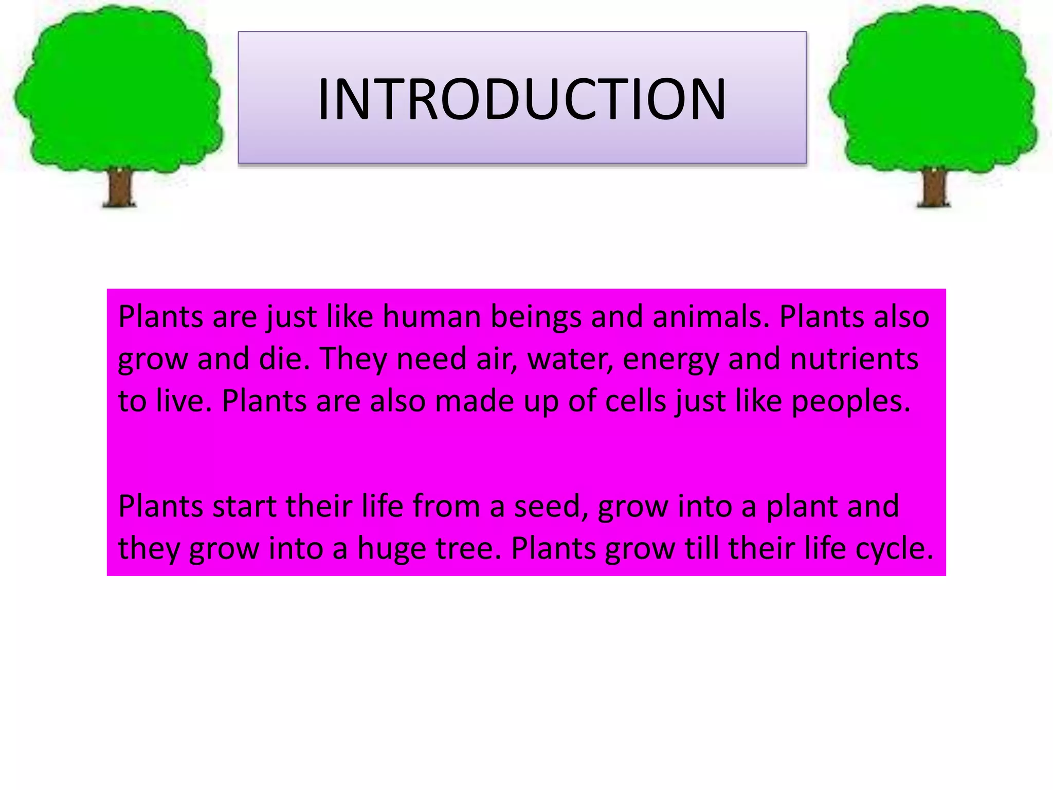Importance of plants | PPT