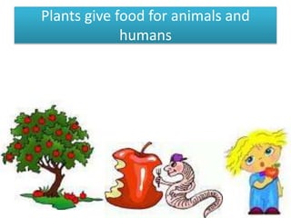Importance of plants | PPT