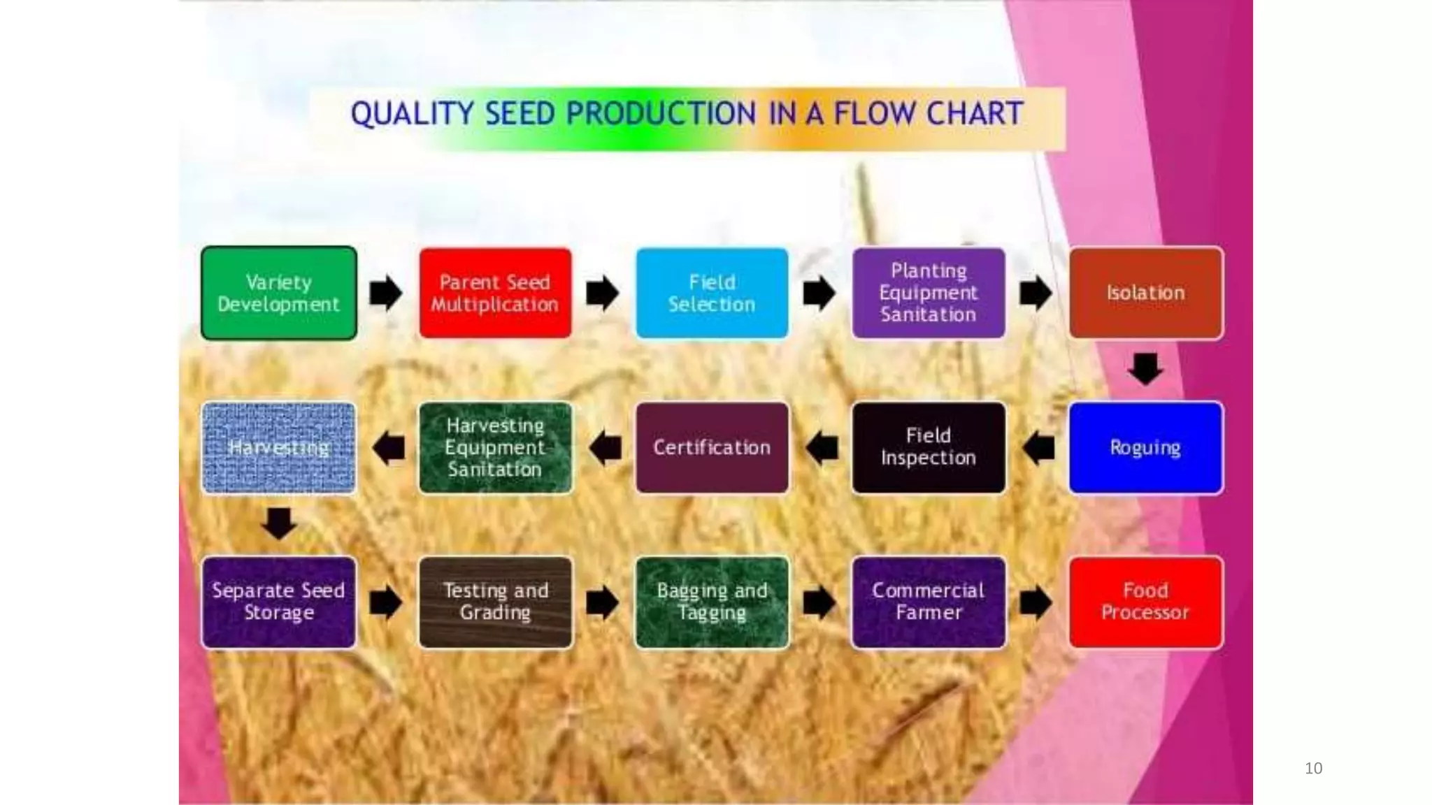 Importance of quality seed production to achieve SDG in Bangladesh. | PPT