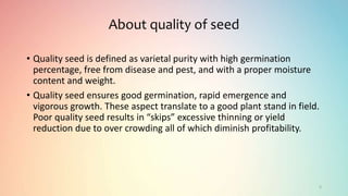 Importance of quality seed production to achieve SDG in Bangladesh ...
