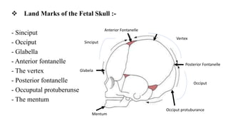 The fetal skull | PPTX