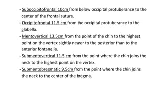 The fetal skull | PPTX