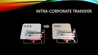 IM ppt copy.pptx