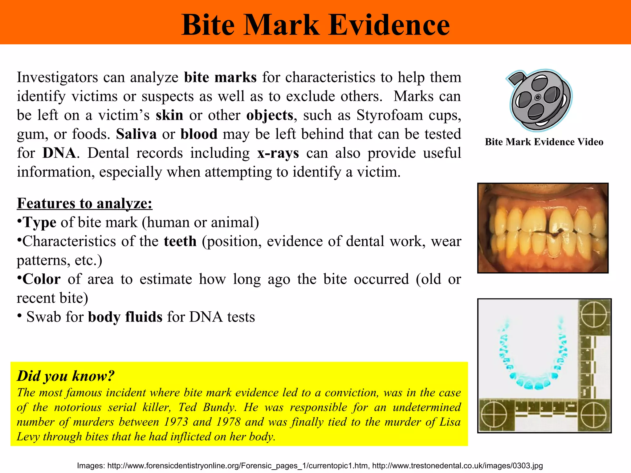 Impression evidence | PPT