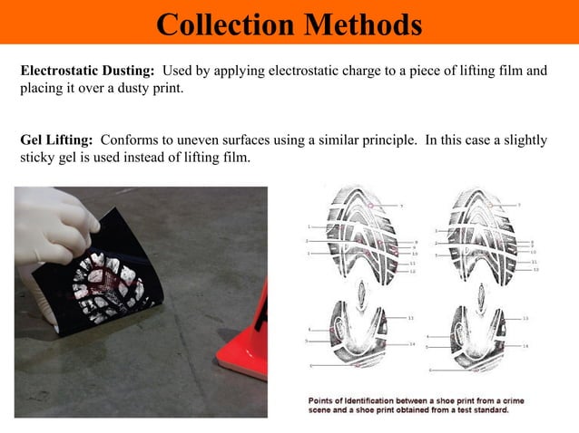 Impression evidence | PPT