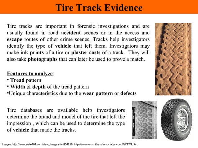 Impression evidence | PPT