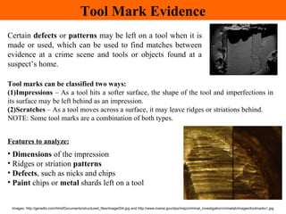 Impression evidence | PPT